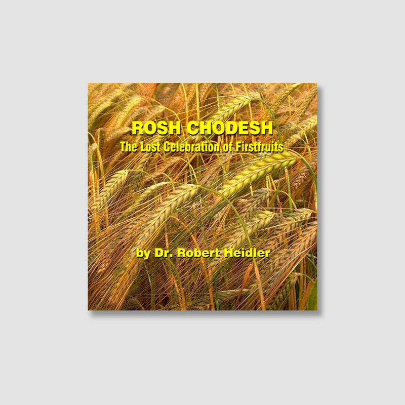 God's Calendar - GZI Online